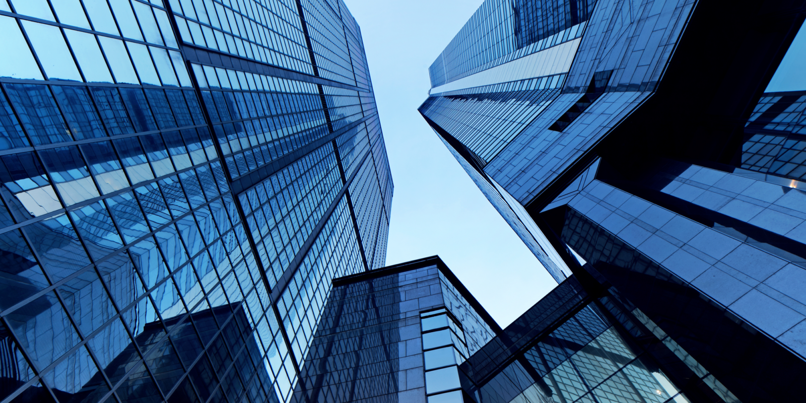 Moore Global strengthens in Middle East as JFC Group joins Network ...