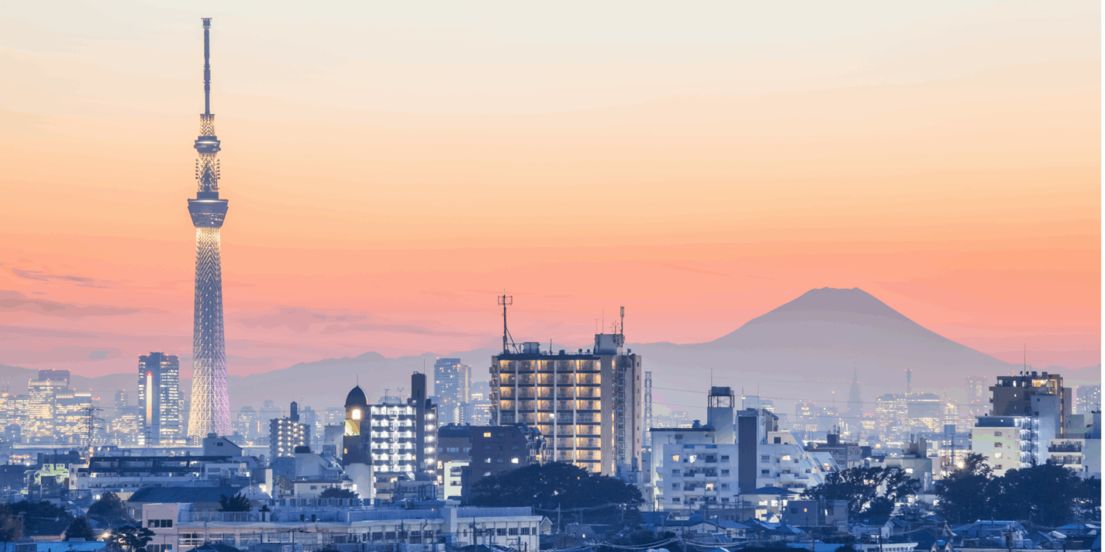 Japan desk | Moore Global